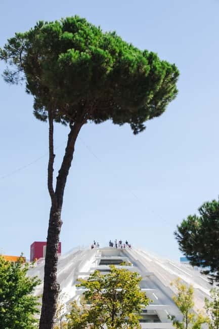 Tirana City & Food Tour - Meals Included (small group) - Who Should Consider This Tour?