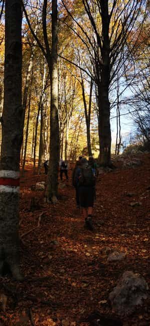 Tirana: Dajti National Park and Tujani Peak Hiking Tour - An In-Depth Look at the Experience