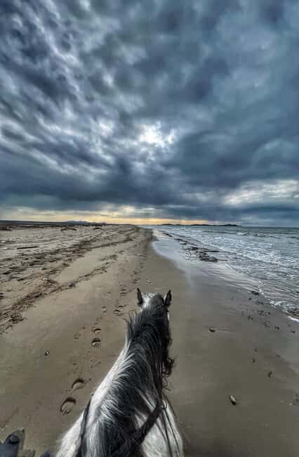 Tirana/Durrës: Fllakë Beach Escape and Optional Horse Ride - Transportation and Booking: Making It Easy
