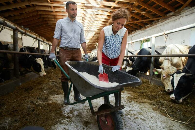 Tirana/Durrës/Golem: Farm Tour with Cheese & Raki Tasting - Who Should Book This Tour?