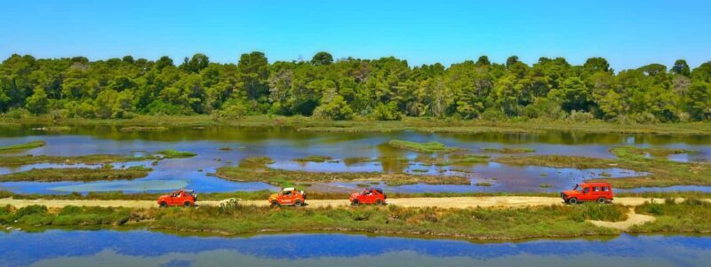 Tirana/Durres/Golem: Karavasta Lagoon Day Tour with Boat - Who Would Love This Tour?