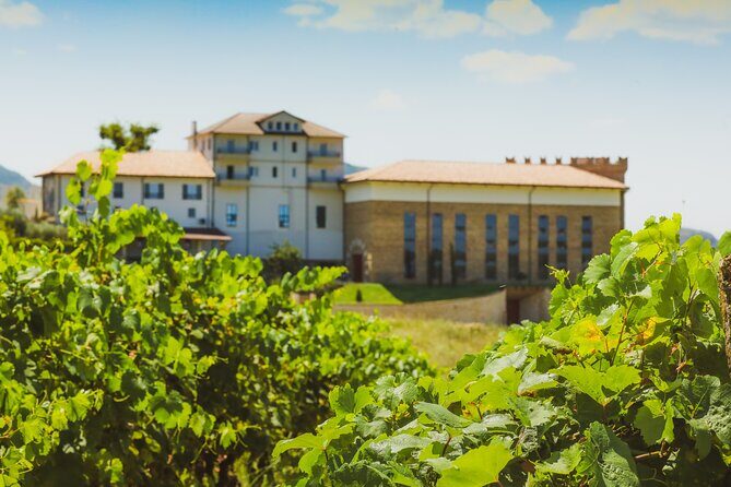 Tirana Lundra Winery Guided Tour with Wine Tasting - Why This Tour Stands Out