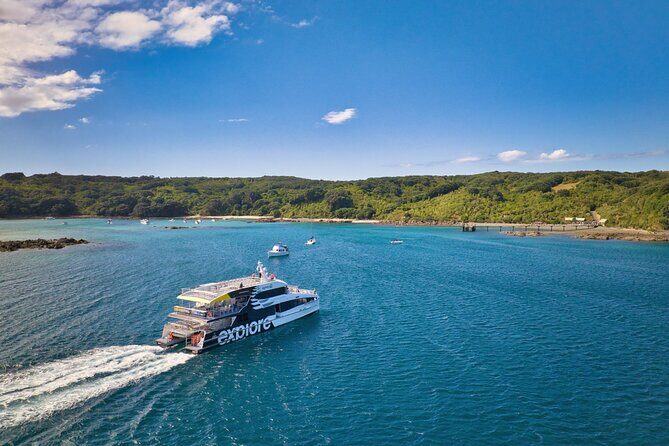 Tiritiri Matangi Island Discovery - from Auckland - Why Choose the Tiritiri Matangi Island Tour?