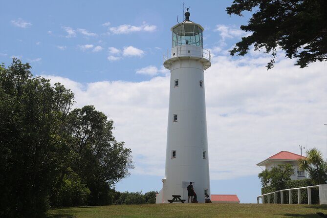Tiritiri Matangi Island Discovery - from Auckland - Authentic Travel Experience: What Travelers Say