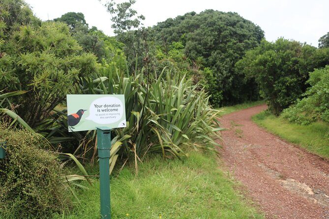 Tiritiri Matangi Island Discovery - from Auckland - Final Thoughts: Is This Tour for You?