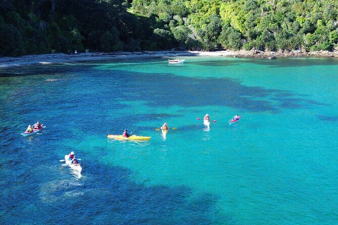 Tiritiri Matangi Sea Kayak Tour - Introduction: Why Consider This Tour?