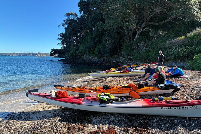Tiritiri Matangi Sea Kayak Tour - Whats Included and What to Bring