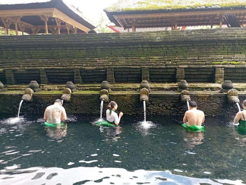 Tirta Empul: Highlights Tour with Cleansing & Rice Terrace - Who Will Appreciate This Tour?