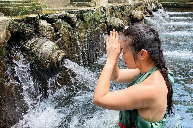 Tirta Empul temple, Jungle Swing and Waterfalls - Private Tour - An In-Depth Review of Each Stop