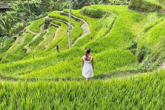 Tirta Empul temple, Jungle Swing and Waterfalls - Private Tour - Practical Details and What You Get for Your Money