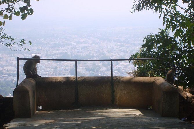 Tiru Arunachala Tours - Tiruvannamalai Tour Guide - FAQs