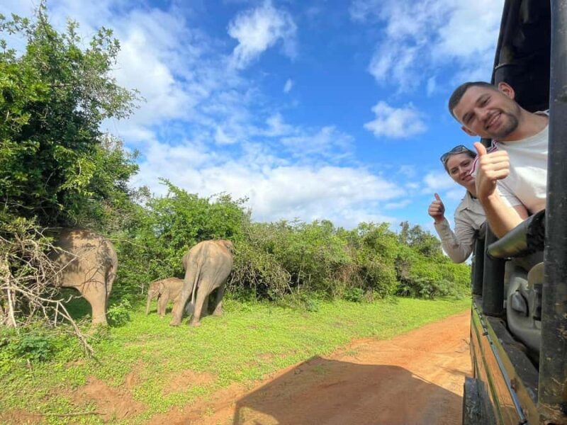 Tissa: Yala National Park Private Jeep Safari with Meals - What Makes This Safari Stand Out