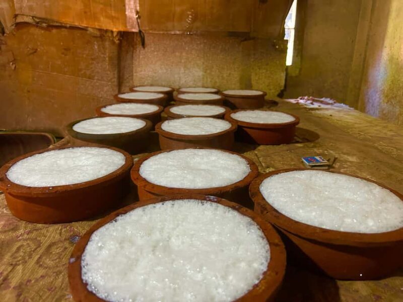 Tissamaharama Fresh Curd-Making Experience - Exploring the Tissamaharama Curds: A Detailed Look