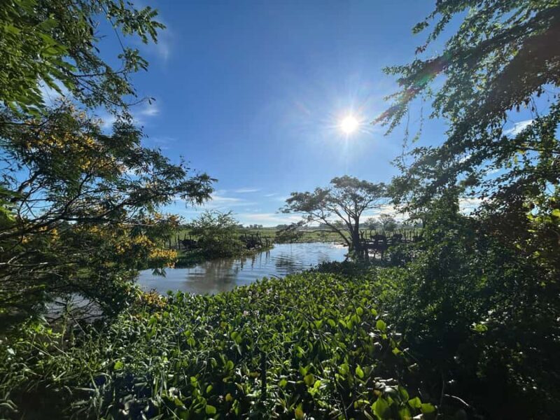 Tissamaharama Fresh Curd-Making Experience - Final Thoughts: Who Will Love This?