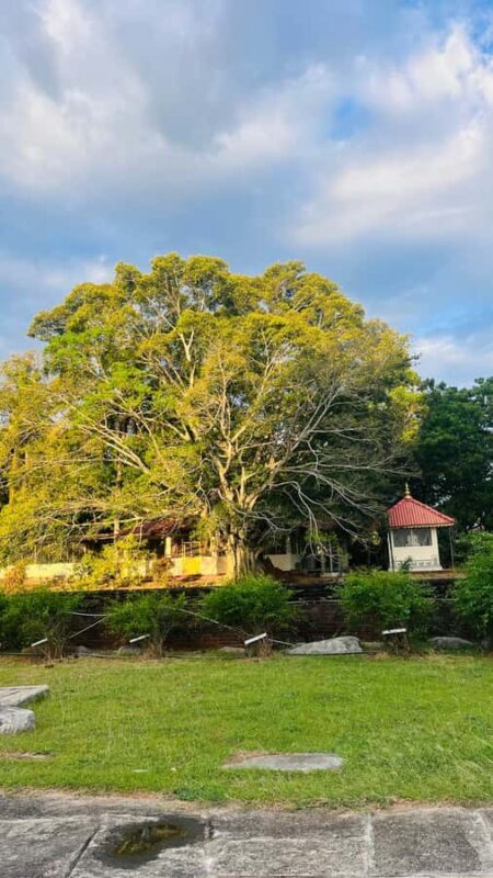 Tissamaharama: private Tuk Tuk Tour & Kataragama Temple - Authenticity and Value