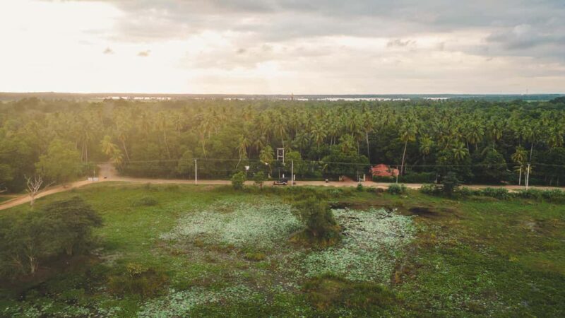 Tissamaharama: Sri Lankan Village Tour with Lunch - A Genuine Look at Sri Lankan Village Life