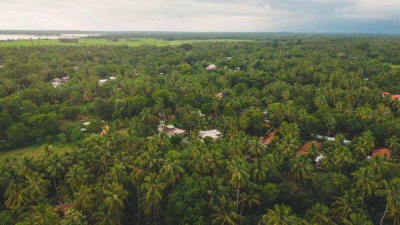 Tissamaharama: Sri Lankan Village Tour with Lunch - Who Will Enjoy This Tour?