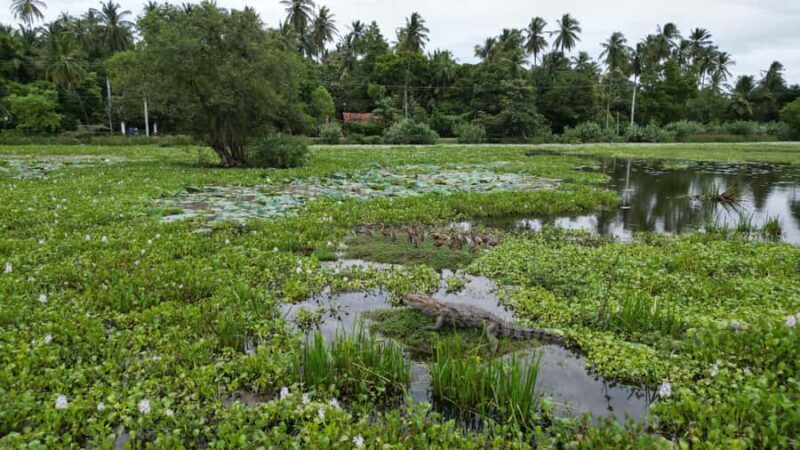 Tissamaharama: Sunset Boat Ride and Lake BBQ with Beer - Key Points