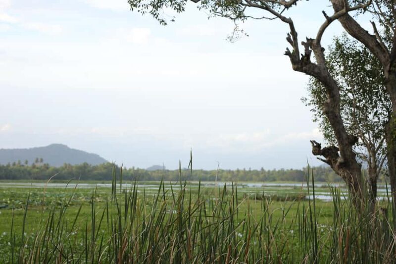 Tissamaharama: Sunset Boat Tour and Lake BBQ - A Closer Look at the Experience