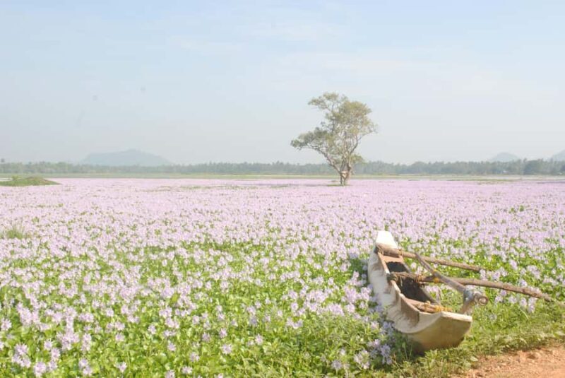 Tissamaharama: Sunset Boat Tour and Lake BBQ - Final Thoughts