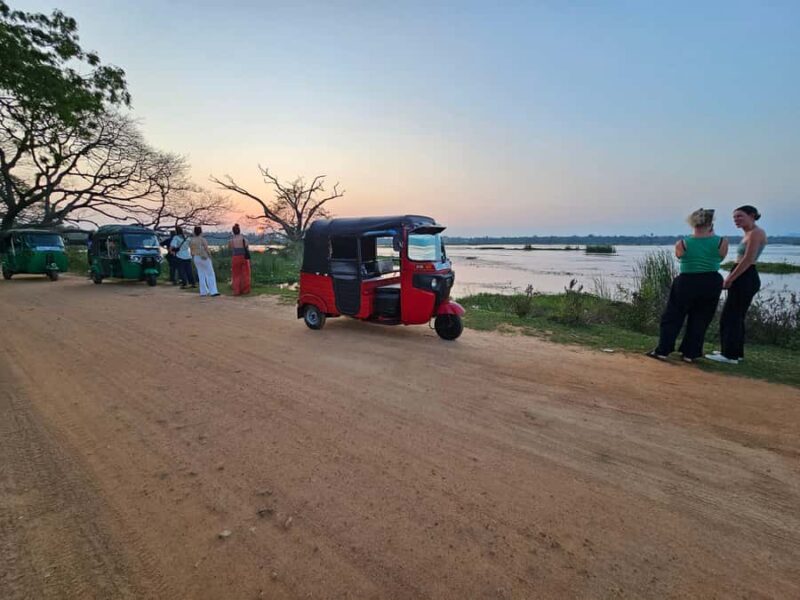 Tissamaharama: Temple Tour by Tuk-Tuk with Guide - Practical Details: What to Expect