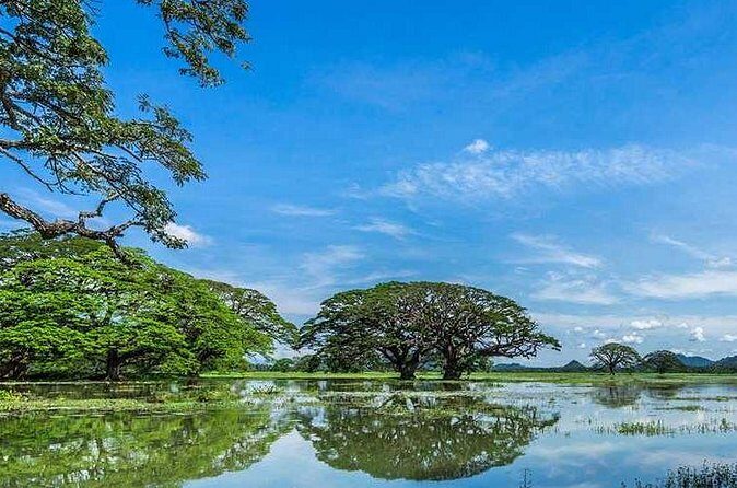 Tissamaharama To Ella - An In-Depth Look at the Tissamaharama to Ella Taxi Experience