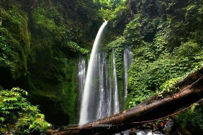 Tiu kelep waterfall lombok - Key Points