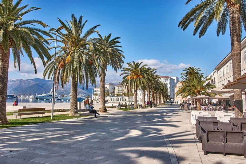 Tivat private tour from Kotor - What Travelers Say: Authentic Insights
