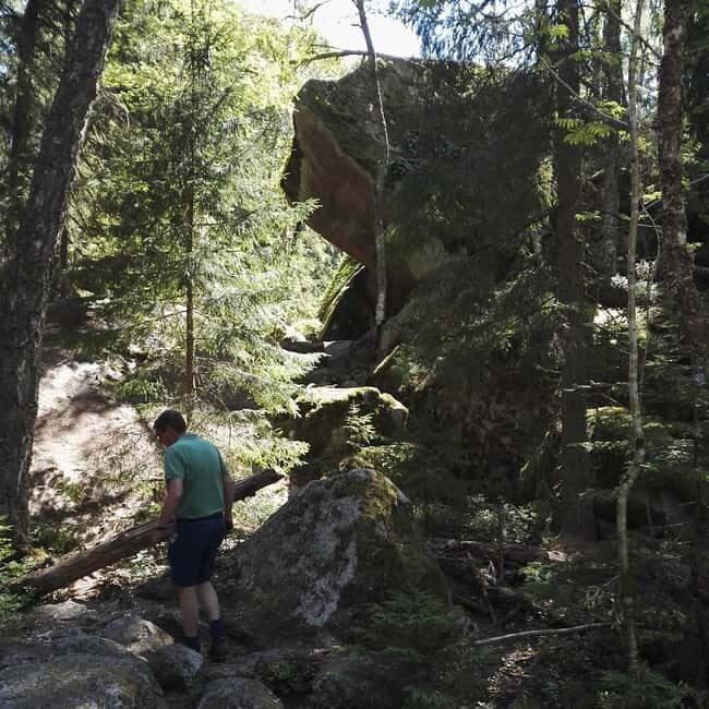 Tiveden National park: Summer guided walk around Stenkälla - An In-Depth Look at the Guided Walk
