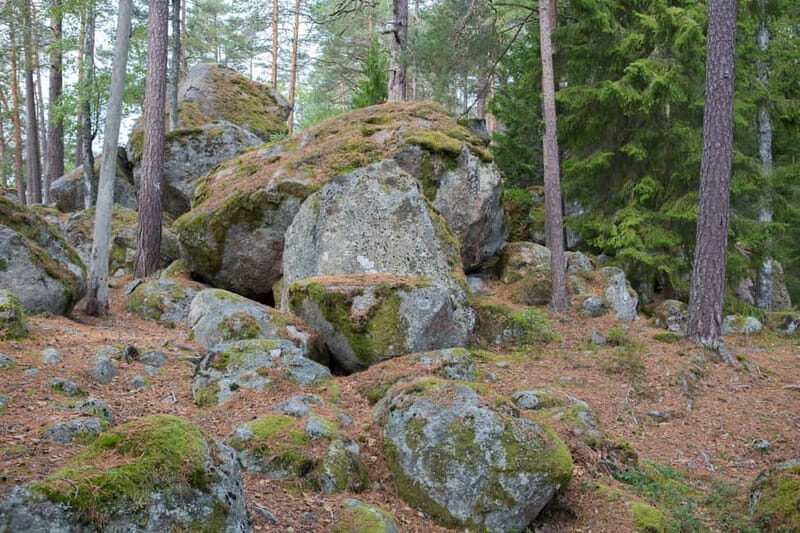 Tiveden: The Legend of Junker Jägare Guided Hike - Practical Considerations