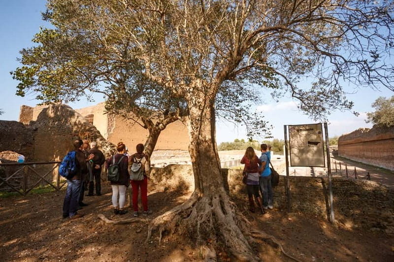 Tivoli: Entrance Ticket to Villa Adriana & App Audioguide - What Is Villa Adriana Like Inside?