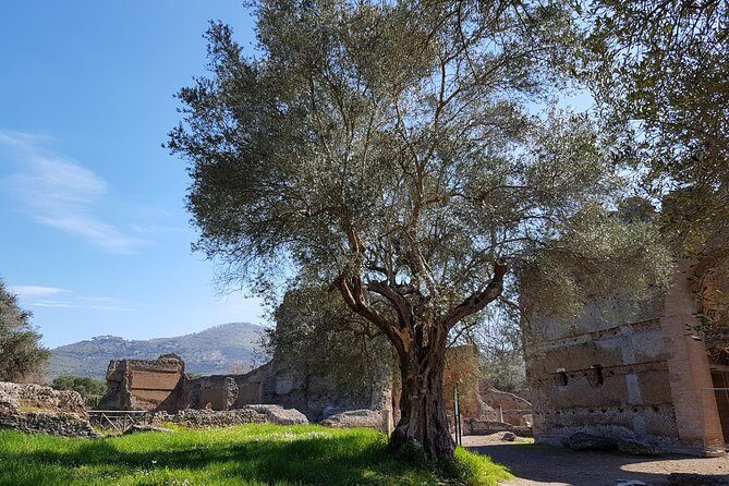 Tivoli Villas Full Day Trip From Rome with Lunch - What’s Worth Noting