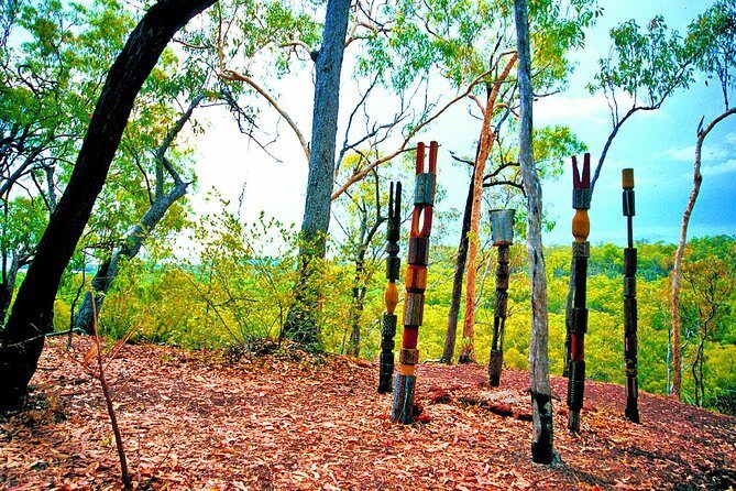 Tiwi Islands Cultural Experience from Darwin Including Ferry - The Full Experience: What to Expect from Start to Finish