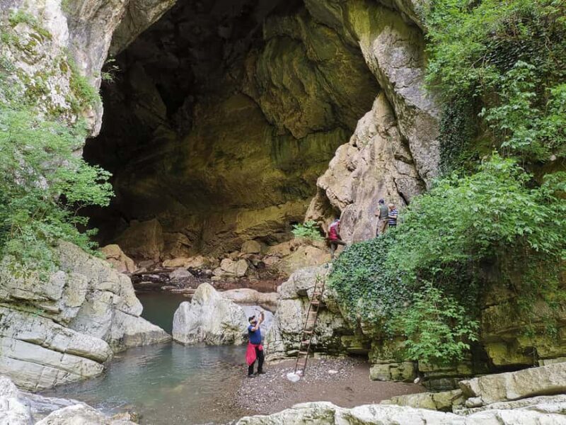 Tkibuli Day Trip with Wine & Tea Tasting from Kutaisi - Key Points