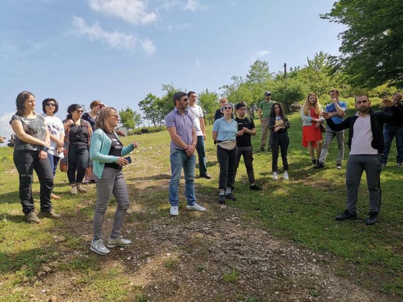 Tkibuli Day Trip with Wine & Tea Tasting from Kutaisi - A Closer Look at the Tkibuli Day Trip