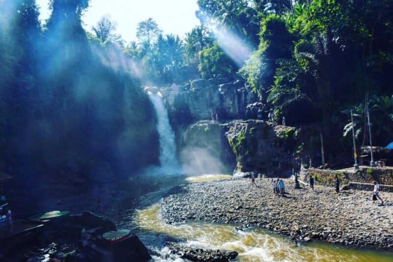 Tlaga singha Ubud infinity Pool+Monkey Forest + Water fall - FAQs