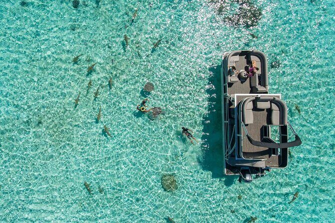 Toa Boat Bora Bora Private Lagoon tour On Ambassador Boat - Authentic Encounters with Marine Life