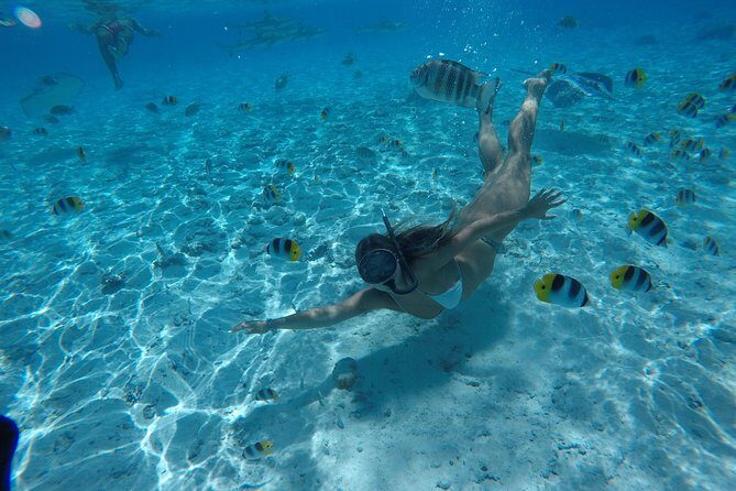 Toa Boat Bora Bora Private Lagoon tour On Ambassador Boat - Why the Price Is Justified