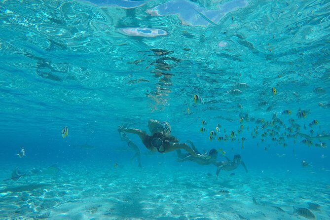 Toa Boat Bora Bora Private Lagoon Tour On Entertainer Bar Boat - FAQs