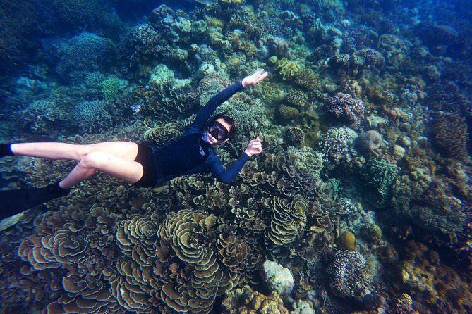 Tobago Buccoo Reef Glass Bottom Boat Tour - Authentic Traveler Feedback