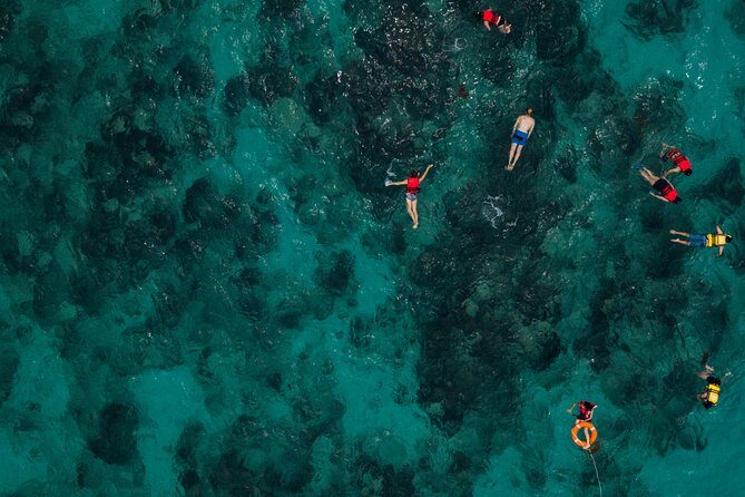 Tobago Buccoo Reef Glass Bottom Boat Tour - The Sum Up