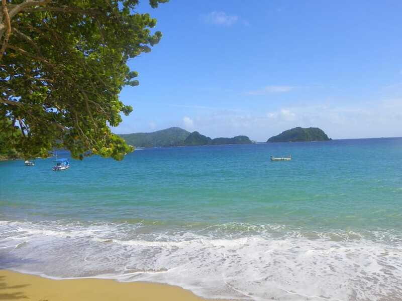 Tobago: Buccoo Reef Glass Bottom Boat Tour - The Sum Up: Who is this tour best for?