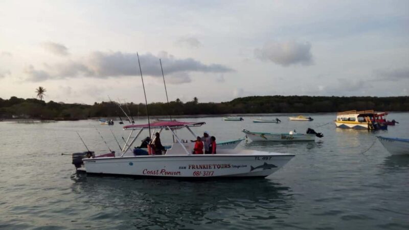Tobago: Coastal Boat Tour with Snorkeling and Rum Punch - An Overview of the Tobago Coastal Boat Tour