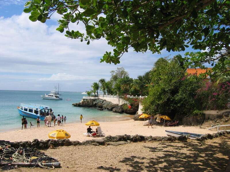 Tobago: Glass Bottom Boat & Highlights Tour - Key Points