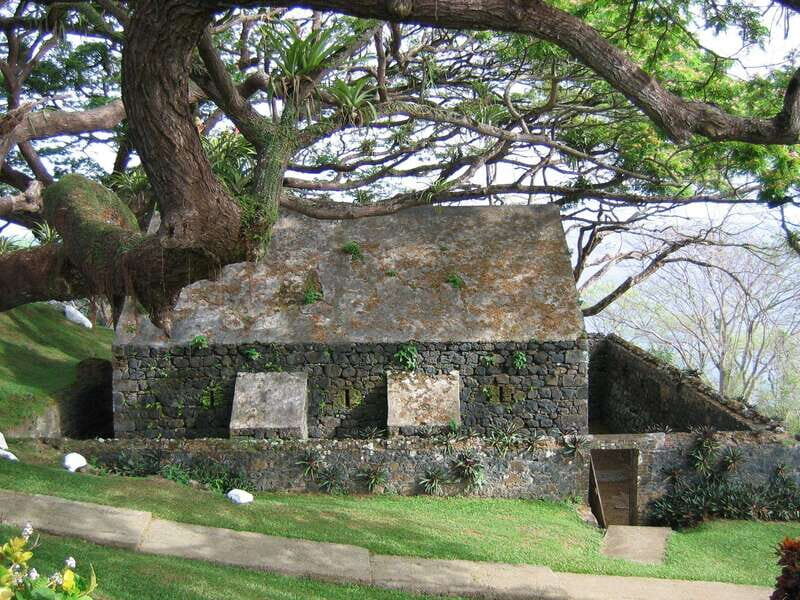 Tobago: Glass Bottom Boat & Highlights Tour - The Sum Up
