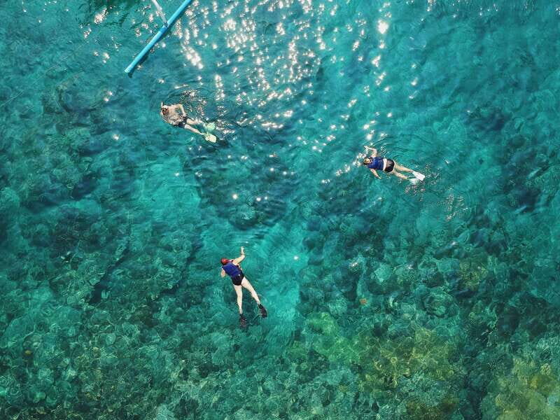 Tobago: Glass Bottom Boat & Highlights Tour - Final Thoughts