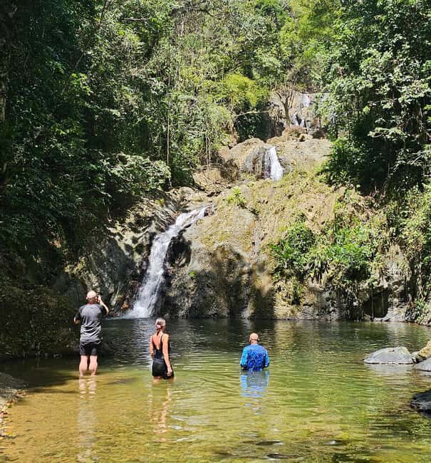 Tobago: Half Day Atlantic Coast Tour with Transfer - Key Points