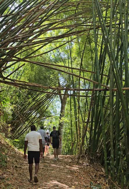 Tobago: Half Day Atlantic Coast Tour with Transfer - A Practical Look at the Tour Experience