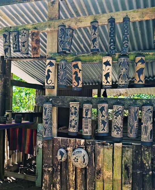 Tobago: Half Day Atlantic Coast Tour with Transfer - Analyzing the Value