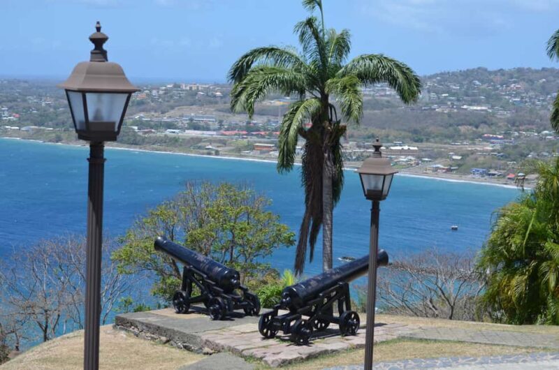 Tobago: Half-Day Highlights Tour - Tobago: Half-Day Highlights Tour — A Practical Guide for Curious Travelers